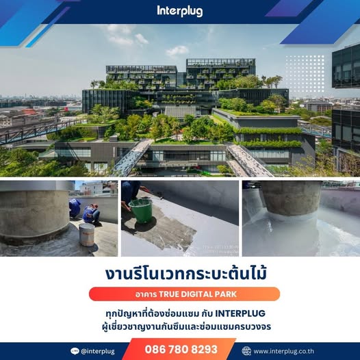 รีโนเวทกระถางต้นไม้ให้สวยใหม่อีกครั้งกับ Interplug! – Interplug